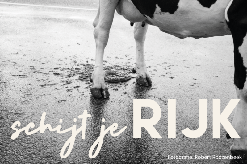 Schijt-je-rijk - Stadshart Woerden